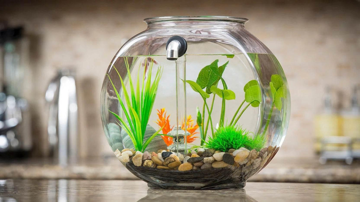 DIY Self Cleaning Conversion Kit for Anchor Hocking, 2 Gallon Fishbowl – NoClean Aquariums