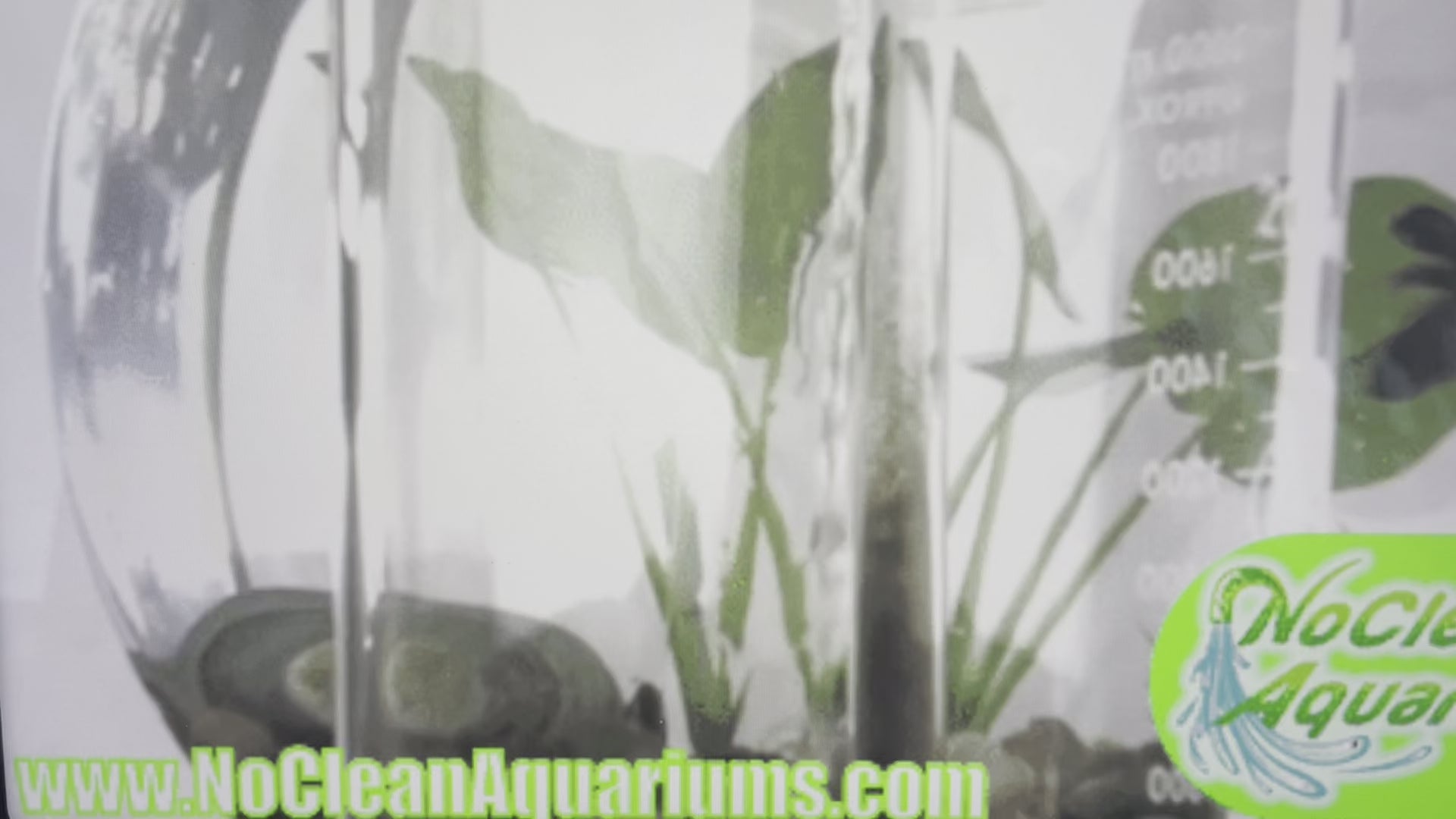 DIY Self Cleaning Conversion Kit for Anchor Hocking, 2 Gallon Fishbowl ...
